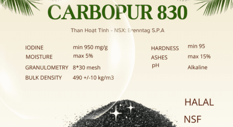 Than Hoạt Tính Gáo Dừa Giá Tốt - Than Carbopur NC 830 Plus - ANVI CONNECT
